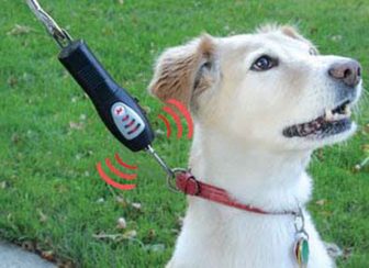 50 Coolest Dog Gadgets and Products For All Dogs