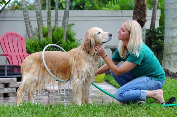 50 Coolest Dog Gadgets and Products For All Dogs