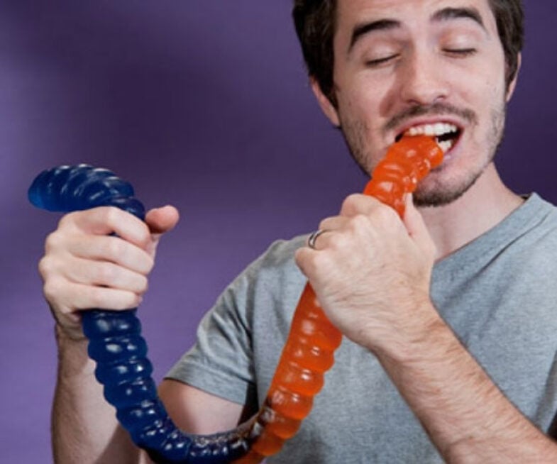 Giant Gummy Worm - Awesome Stuff 365