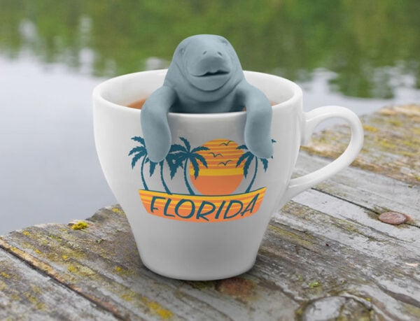 59 of the cutest tea infusers that are unique - Awesome Stuff 365