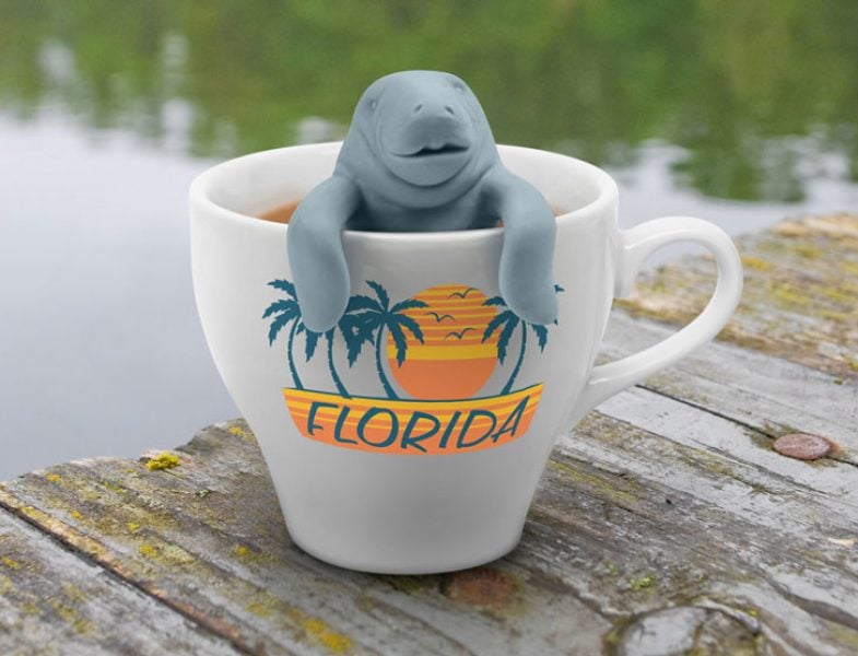 59 of the cutest tea infusers that are unique - Awesome Stuff 365