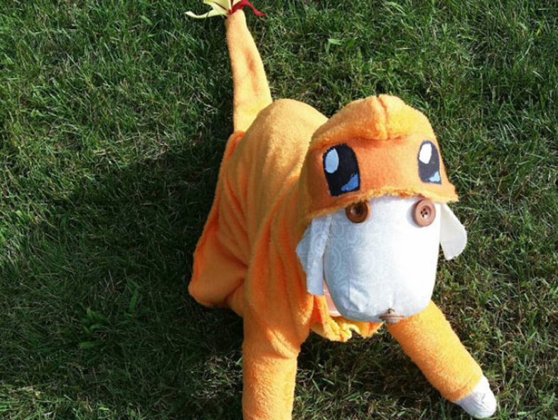 60 Cool Pet Costumes For Dogs Of All Sizes ( Dog Costume Ideas )