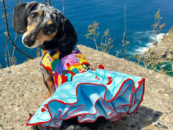 60 Cool Pet Costumes For Dogs Of All Sizes ( Dog Costume Ideas )