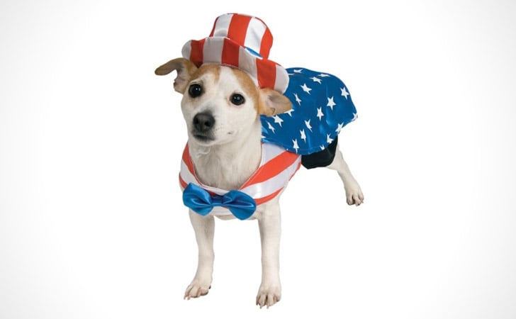 55+ Cool Pet Costumes For Dogs Of All Sizes ( Dog Costume Ideas )