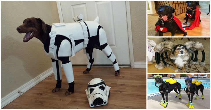 60 Cool Pet Costumes For Dogs Of All Sizes ( Dog Costume Ideas )