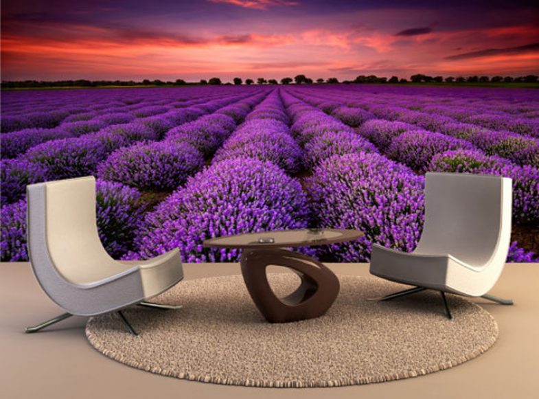 46 Coolest 3D Wall Decals & Stickers For Bedrooms