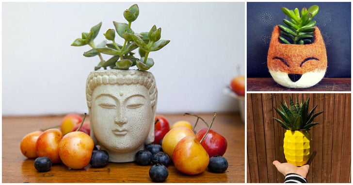 62 Unique Planters and Cool Pots For House Plants!