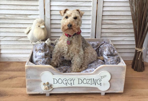 35 Luxurious & Unique Dog Beds for All Dogs