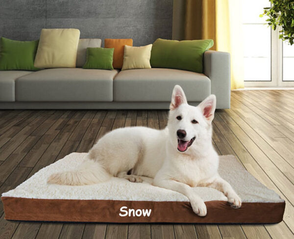 35 Luxurious & Unique Dog Beds for All Dogs