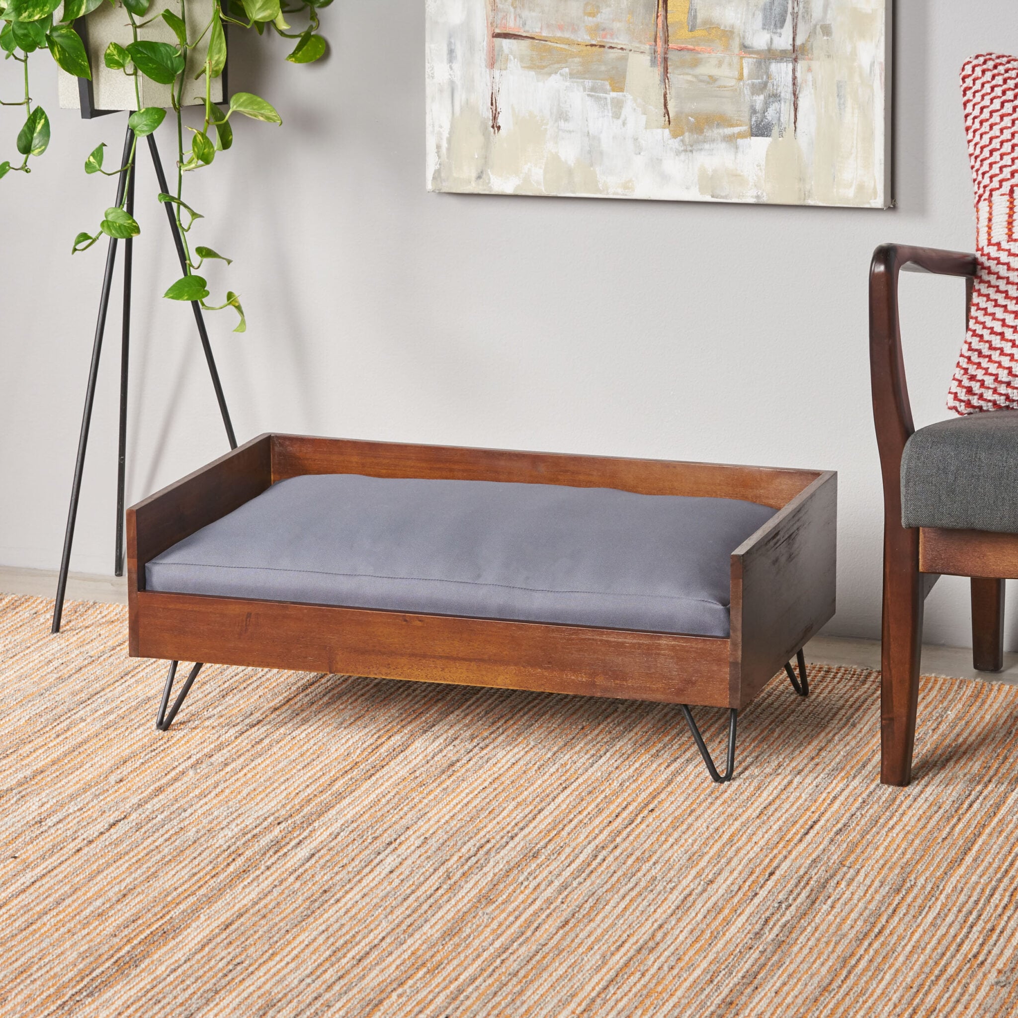 35 Luxurious & Unique Dog Beds for All Dogs