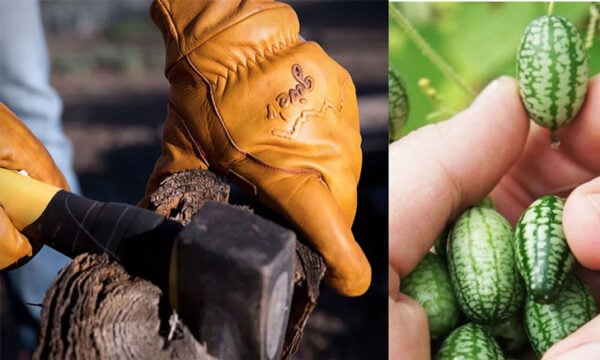 45 Best Gifts for Farmers Who Have Everything - ( Farmer Gift Ideas )