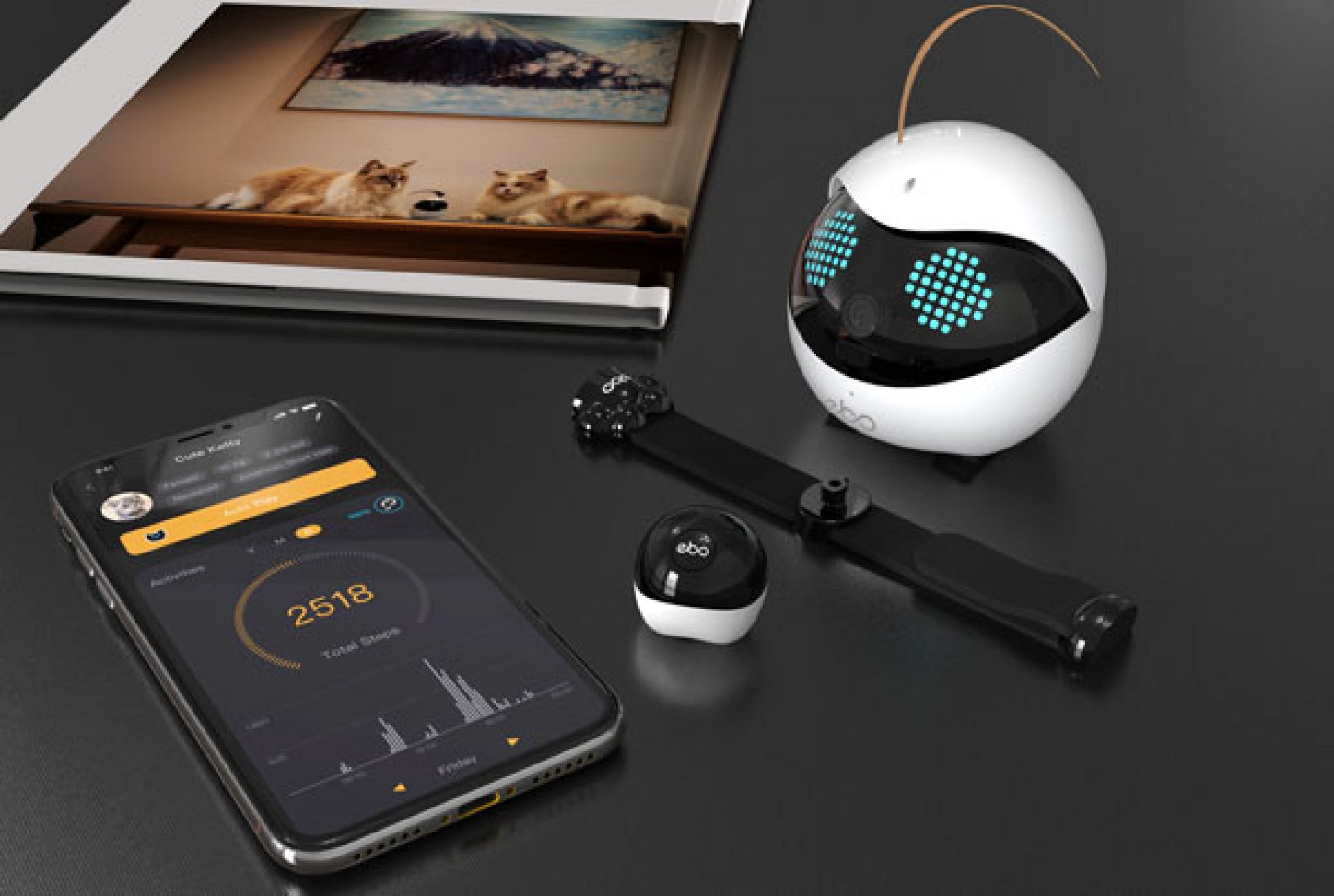 Ebo The Smart Robot Companion