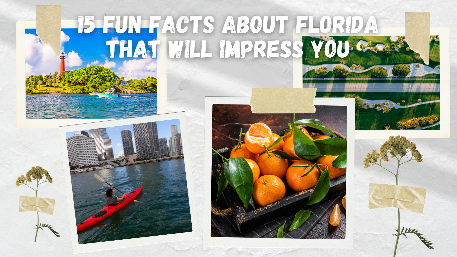 15 Fun Facts About Florida That Will Impress You