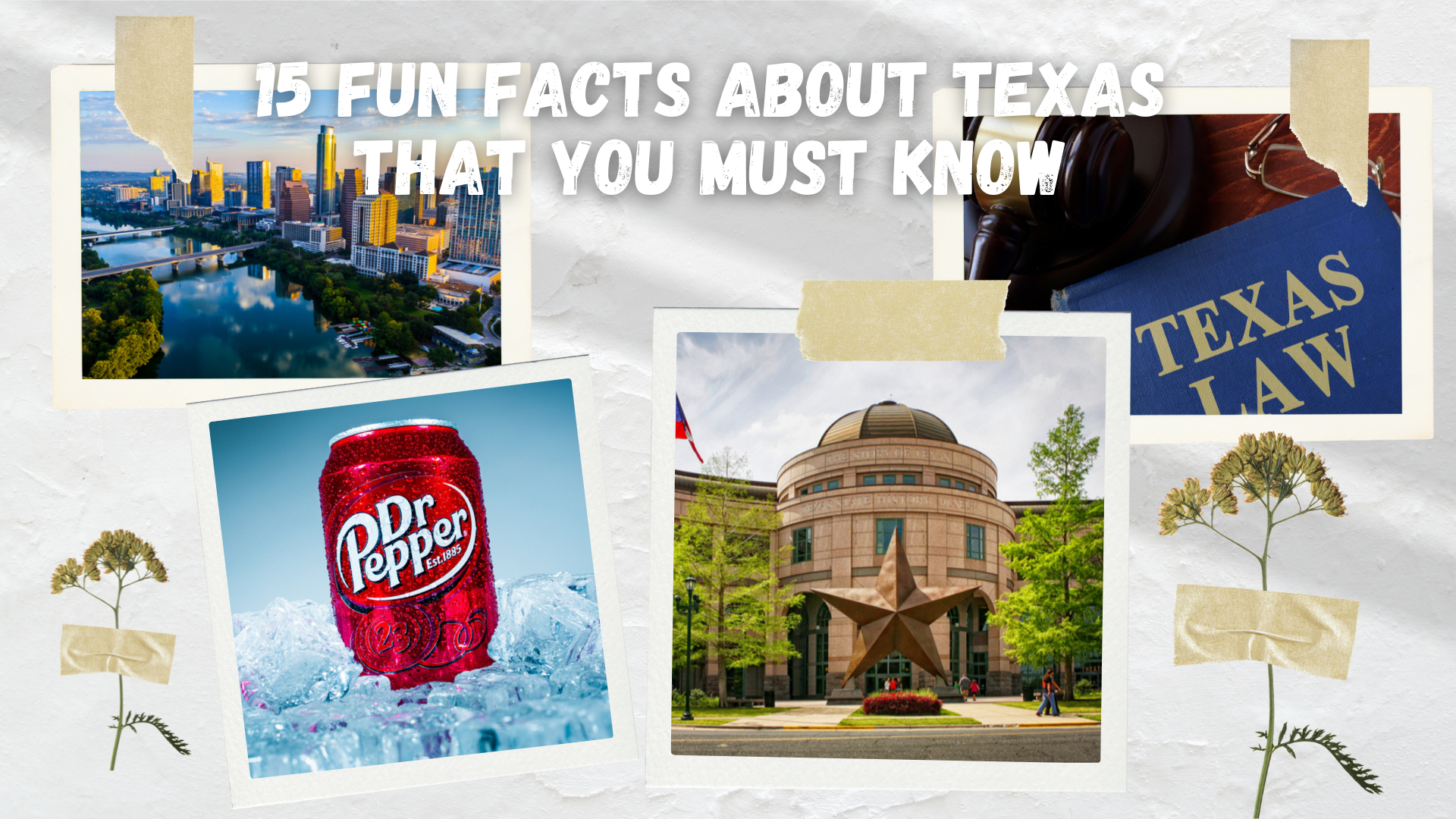 15 Fun Facts About Texas That You Must Know