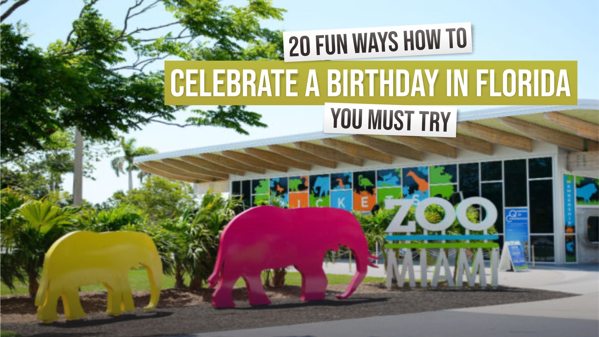20 Fun Ways How to Celebrate a Birthday in Florida You Must Try