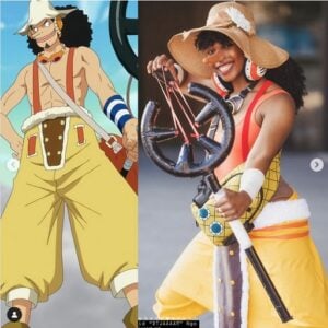 32 One Piece Cosplay Suits to Get A Stunning Look