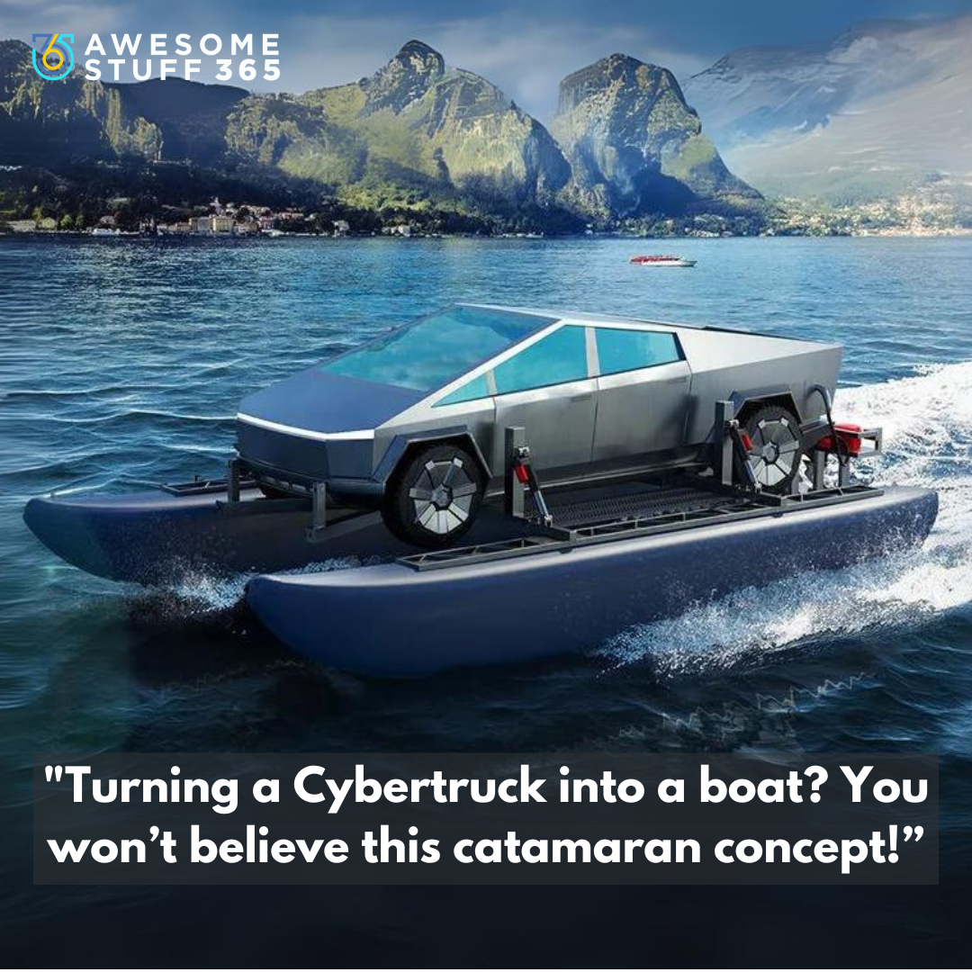 The Exquisite Catamaran Concept 🚤