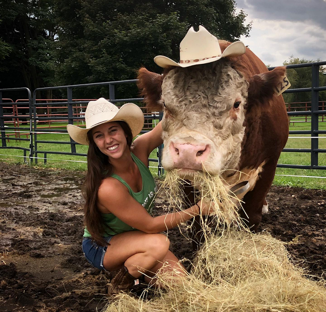 This Playful Bull has a Unique Hobby That will Melt Your Heart ...