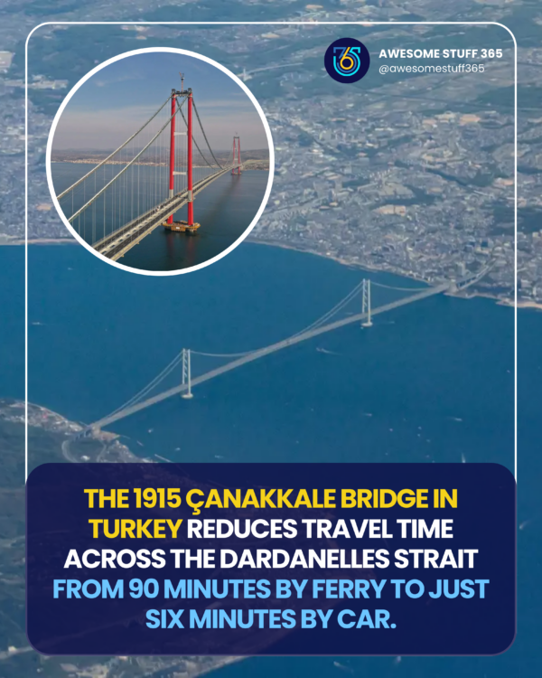 World’s Longest Suspension Bridge Opens in Turkey