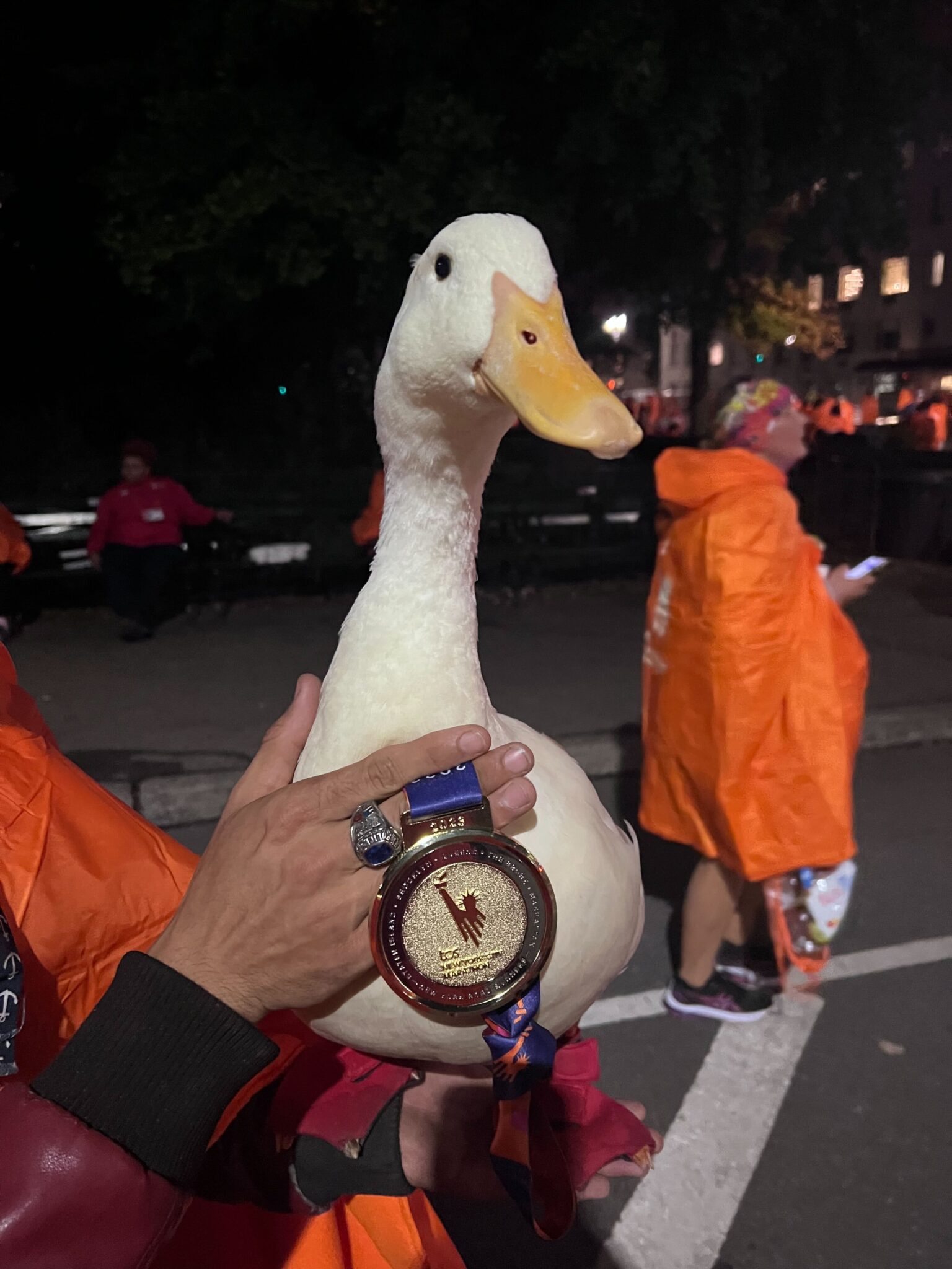 Wrinkle the Duck Runs Another Marathon—The Internet Can’t Get Enough!