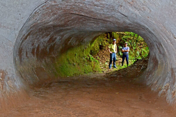 Scientists Discover Massive Ancient Tunnels in South America Dug by ...