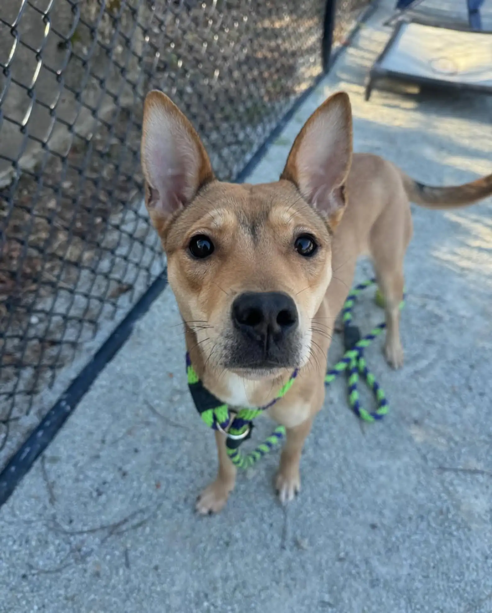 Shelter Workers Discover a Taped-Up Box Left Outside on a Freezing ...