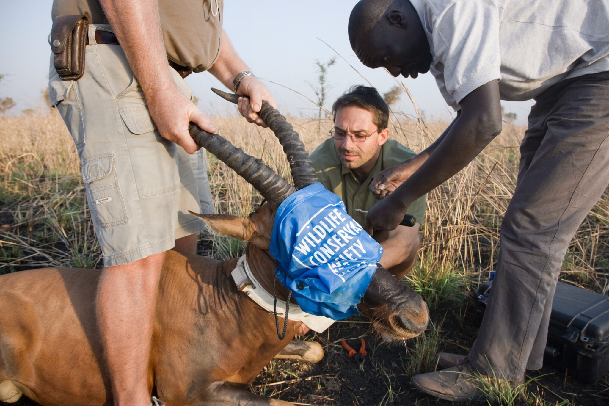 South Sudan Implements Historic Hunting Ban