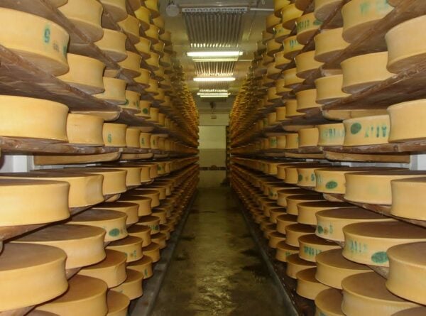 Inside the U.S. Government’s Secret Cheese Caves That Store Over 1.4 ...