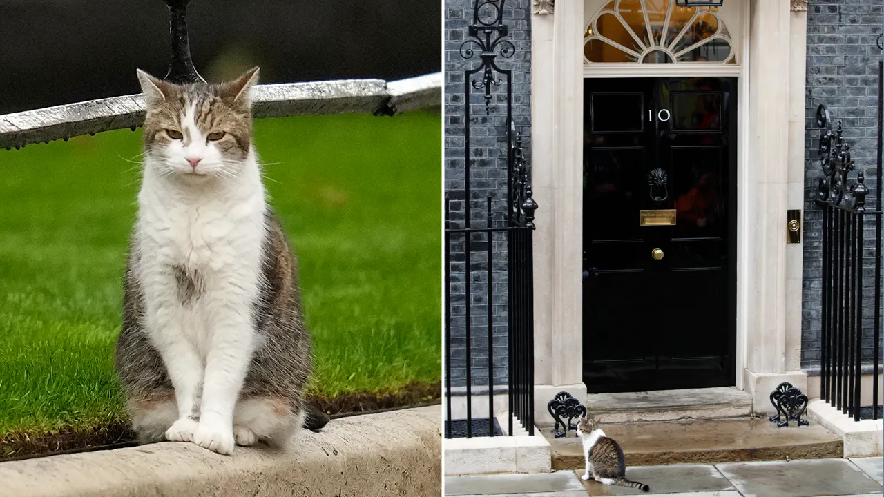 Larry the Cat Outlasts Four UK Prime Ministers